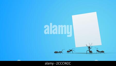 ants carrying a sheet of paper 3D rendering Stock Photo - Alamy