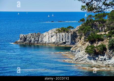 Hyeres (south-eastern France): landscape of the Giens peninsula ...