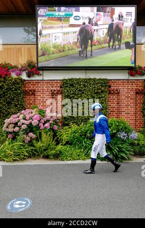 Jim Crowley makes his way into the parade ring prior to the Betfred ...