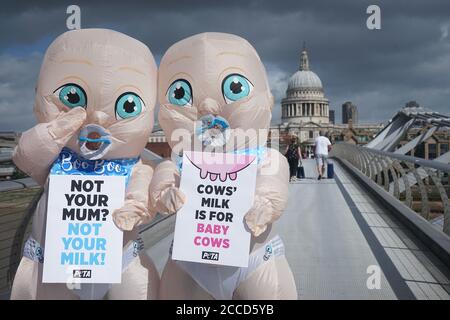 London, UK. 21st Aug, 2020. Giant Babies Cry Not Your Mum? Not Your ...