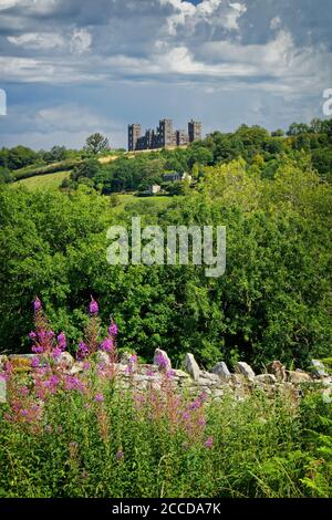 Riber Castle a 19th century grade 2 listed country house built by John ...