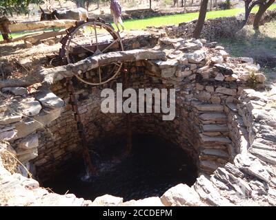 irrigation methods in rajasthan and gujarat,India Stock Photo - Alamy
