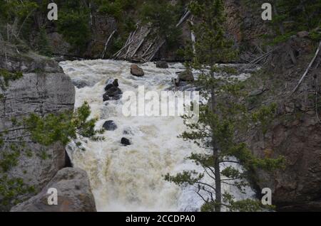 Madison Junction, Yellowstone National Park, Wyoming, USA Stock Photo ...
