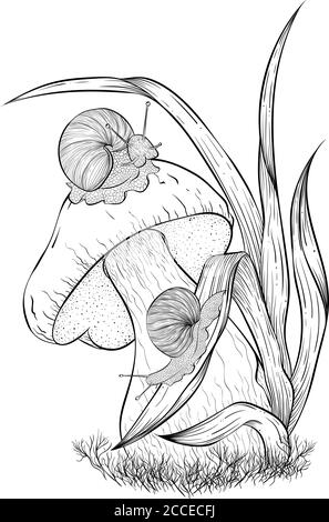 Spring Snail Isolated Coloring Page for Kids Stock Vector Image & Art ...