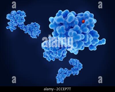 Calcium-binding protein molecule, illustration Stock Photo - Alamy