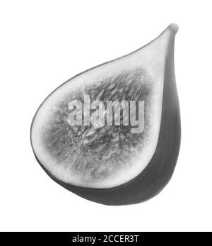 Fig fruit, X-ray Stock Photo - Alamy