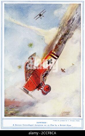 British flying ace of World War One, Captain Albert Ball (1896 - 1917 ...