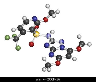 Pyroxsulam herbicide molecule. 3D rendering. Atoms are represented as ...