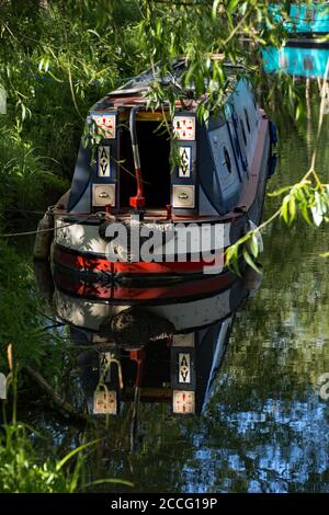 Narrow boat moored under a willow tree in Windsor Stock Photo - Alamy