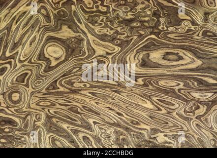 Examples of wood veneers by being coated on chipboard. Examples of wood ...