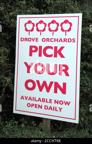 Pick Your Own, Apples, roadside sign, cartoon style, Drove Orchards ...
