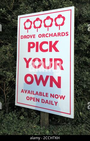 Pick Your Own, Apples, roadside sign, cartoon style, Drove Orchards ...