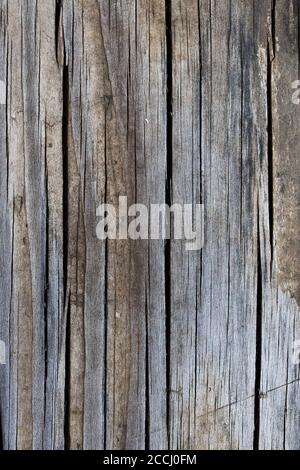 Close up textures of wood from a trailer Stock Photo - Alamy