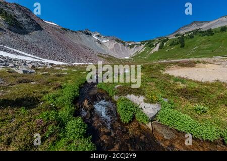 Cispus River headwaters in upper Cispus Basin in the Goat Rocks ...