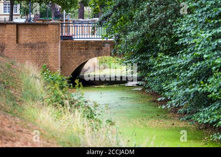 Luckau, Germany. 02nd Aug, 2020. Residential and commercial buildings ...