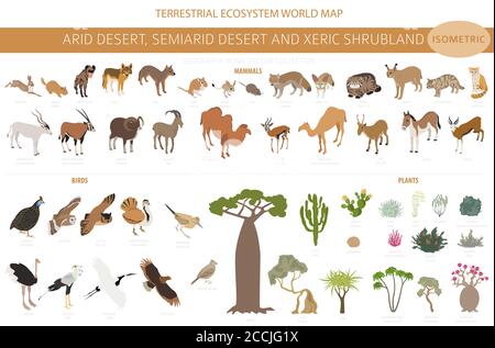 Desert biome, xeric shrubland biome, natural region infographic ...