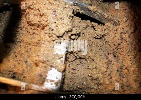 Greece, Attica, olive paste in malaxation tank during extra virgin ...