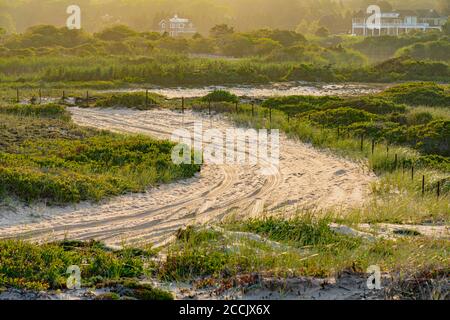 Wiborg Beach dunes and drive on road, East Hampton, NY Stock Photo - Alamy
