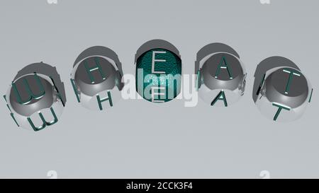 WHEAT text of cubic dice letters on the floor and 3D icon on the wall ...