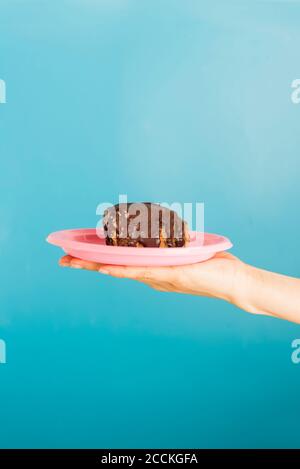 chocolate cake on woman hand. small pie with berries. Ladys Hand ...