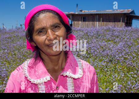 Indigenous lenca woman smiling Stock Photo - Alamy
