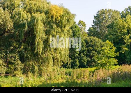 Frontier Park nature scenes in Erie, Pennsylvania Stock Photo - Alamy