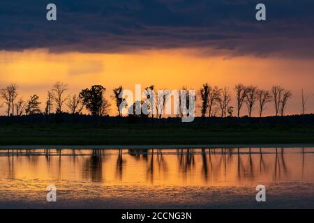 Approaching thunderstorms over wetland, at sunset, Summer, WI, USA, by ...