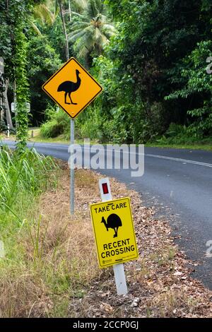 Road sign warning of cassowaries crossing the road, Daintree National ...