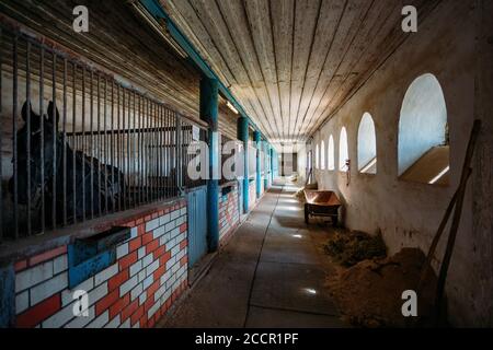 Old historical horse stable with loose horse boxes, tunnel view Stock ...