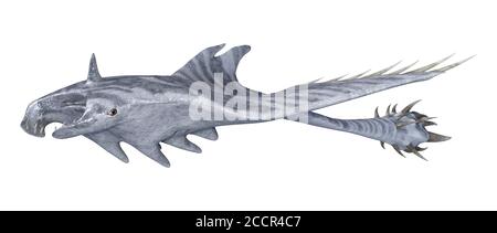 3D rendering of a devil ray isolated on white background Stock Photo ...