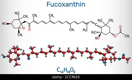 Fucoxanthin, C42H58O6, xanthophyll molecule. It has anticancer, anti ...