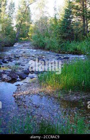 Laurance S. Rockefeller Preserve, Grand Teton National Park, Wyoming ...