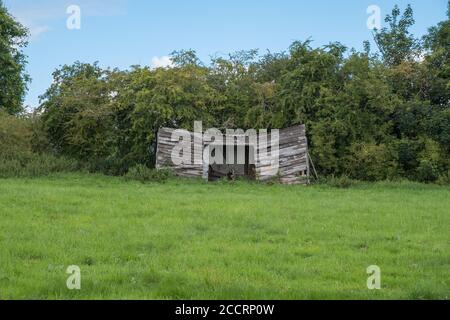 Wooden shed collapsing Stock Photo - Alamy