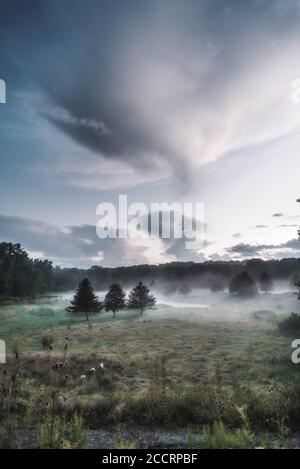 Foggy wooded landscape in ohio midwest Stock Photo - Alamy