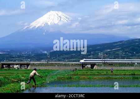 Mount Fuji / Bullet Train & Rice Fields, Fuji, Honshu, Japan Stock ...