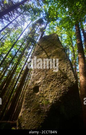 Ancient menhir hidden in the woods of Javornik mounth, Czech Republic ...