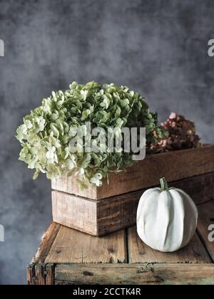 A vertical shot of white pumpkin flower with lush green leaves Stock ...