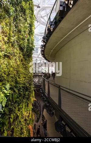Seattle, USA May 5, 2018: The Amazon Spheres late in the day Stock ...