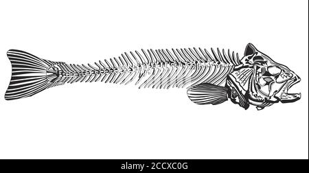 Fish skeleton line art drawing design Stock Vector Image & Art - Alamy