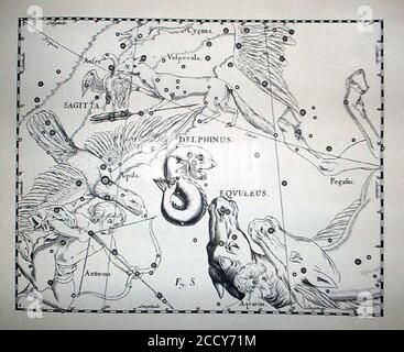 Johannes Hevelius - Delphinus and Equuleus Stock Photo - Alamy