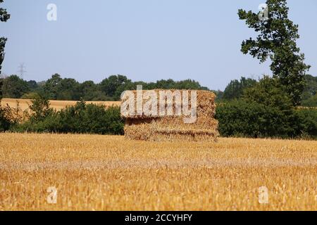 Landscape shot of straw bale cubes Stock Photo - Alamy
