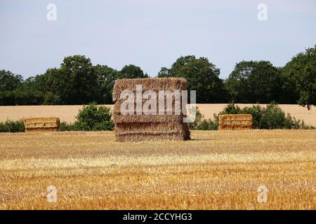 Landscape shot of straw bale cubes Stock Photo - Alamy