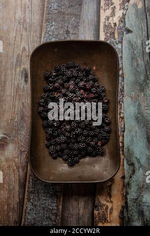 Jam. Making and Jelly Making with foraged fruits Stock Photo - Alamy