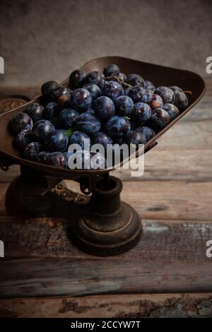 Jam. Making and Jelly Making with foraged fruits Stock Photo - Alamy