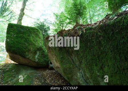 Closeup shot of big stones covered in moss in a unique formation Stock ...