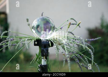 Closeup shot of a reflective glass ball Stock Photo - Alamy