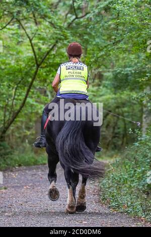female horseback rider isolated on white background Stock Photo - Alamy