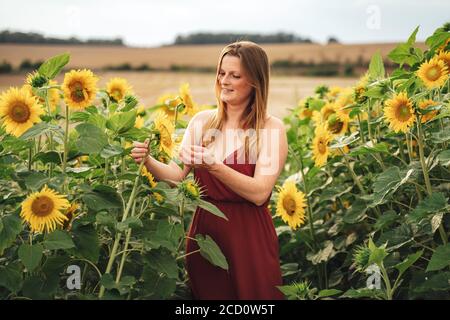 Beautiful sunflower on a sunny day with a natural background. Selective ...