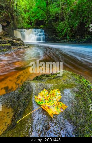 waterfall in the clare glens, ireland Stock Photo - Alamy