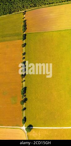 Arial Photo of the landscape in Germany in Eberswalde, Brandenburg ...